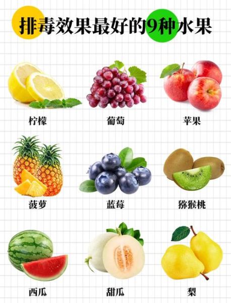 高纤维食物有哪些_高纤维食物排行榜-第1张图片-山城妙识 高纤维食物有哪些_高纤维食物排行榜-第1张图片-山城妙识