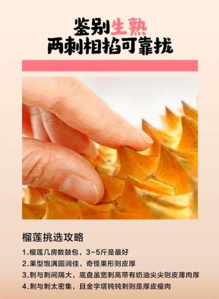 榴莲开了一房没熟怎么办_如何催熟榴莲果肉-第2张图片-山城妙识 榴莲开了一房没熟怎么办_如何催熟榴莲果肉-第2张图片-山城妙识