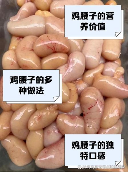 鸡腰子是鸡的什么部位_鸡腰子营养价值高吗-第3张图片-山城妙识 鸡腰子是鸡的什么部位_鸡腰子营养价值高吗-第3张图片-山城妙识