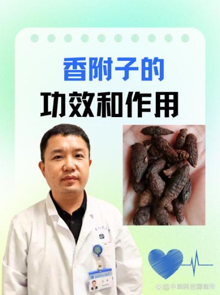 香附的功效与作用_香附如何调理月经-第1张图片-山城妙识 香附的功效与作用_香附如何调理月经-第1张图片-山城妙识
