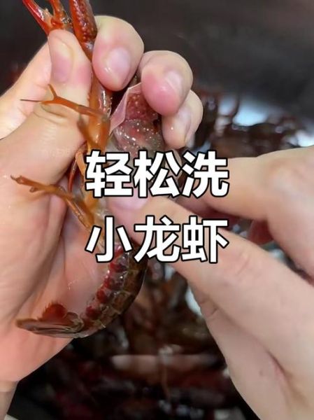 小龙虾太脏了怎么清洗_小龙虾清洗方法-第1张图片-山城妙识