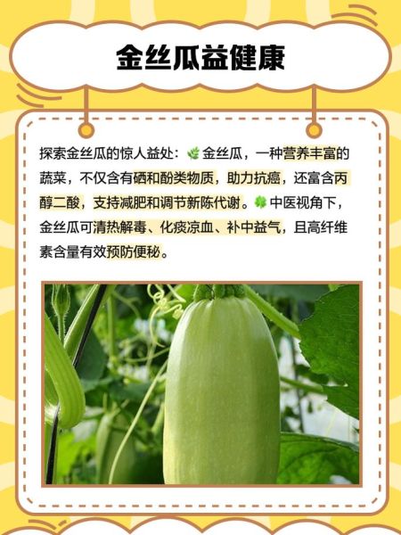 金丝瓜怎么做好吃_金丝瓜最简单的家常做法-第1张图片-山城妙识 金丝瓜怎么做好吃_金丝瓜最简单的家常做法-第1张图片-山城妙识