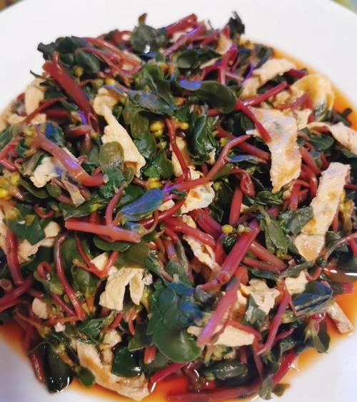 马齿苋菜孕妇可以吃吗_孕期吃马齿苋的风险-第3张图片-山城妙识