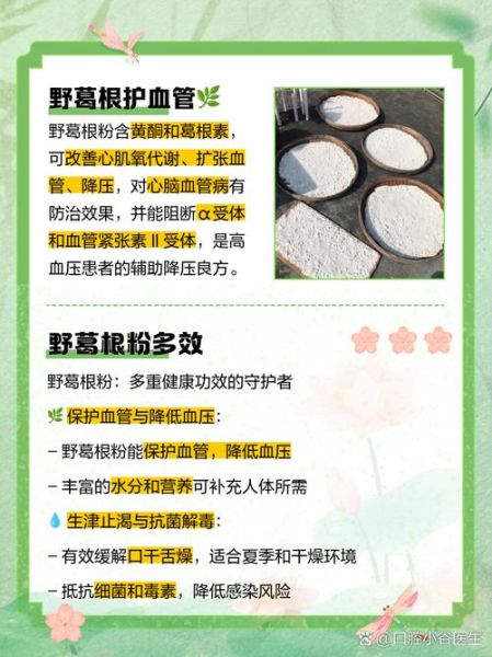 葛粉的作用与功效_葛粉的药用价值有哪些-第2张图片-山城妙识 葛粉的作用与功效_葛粉的药用价值有哪些-第2张图片-山城妙识