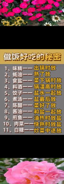 耗油炒菜什么时候放_蚝油最佳下锅时间-第2张图片-山城妙识 耗油炒菜什么时候放_蚝油最佳下锅时间-第2张图片-山城妙识
