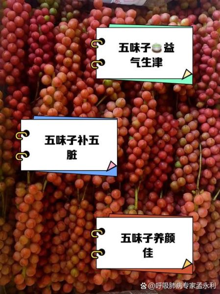 五味子怎么吃效果最好_五味子泡水一次放几颗-第1张图片-山城妙识 五味子怎么吃效果最好_五味子泡水一次放几颗-第1张图片-山城妙识