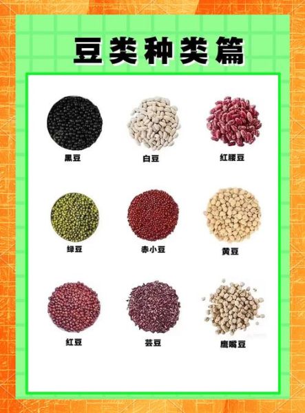 豆类品种图片名称大全_如何快速识别常见豆类-第2张图片-山城妙识 豆类品种图片名称大全_如何快速识别常见豆类-第2张图片-山城妙识
