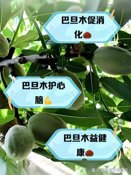 孕妇能吃巴旦木吗_巴旦木对胎儿有影响吗-第1张图片-山城妙识 孕妇能吃巴旦木吗_巴旦木对胎儿有影响吗-第1张图片-山城妙识