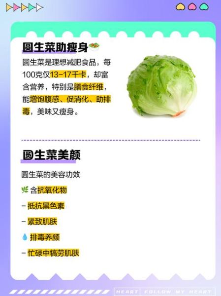 圆白菜可以生吃吗_圆白菜吃多了有什么坏处-第1张图片-山城妙识 圆白菜可以生吃吗_圆白菜吃多了有什么坏处-第1张图片-山城妙识