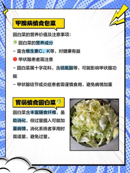 圆白菜可以生吃吗_圆白菜吃多了有什么坏处-第3张图片-山城妙识 圆白菜可以生吃吗_圆白菜吃多了有什么坏处-第3张图片-山城妙识