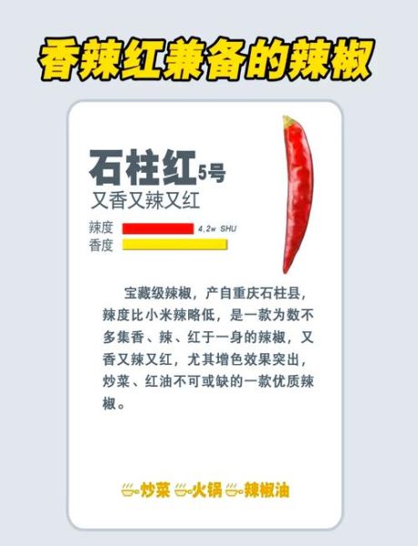 二荆条和灯笼椒哪个香_辣椒香味对比-第3张图片-山城妙识 二荆条和灯笼椒哪个香_辣椒香味对比-第3张图片-山城妙识