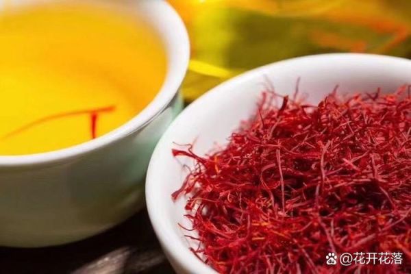 藏红花一次泡几根最好_藏红花泡水用量疑问-第2张图片-山城妙识 藏红花一次泡几根最好_藏红花泡水用量疑问-第2张图片-山城妙识