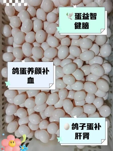 鸽子蛋哪些人不能吃_孕妇能吃鸽子蛋吗-第2张图片-山城妙识 鸽子蛋哪些人不能吃_孕妇能吃鸽子蛋吗-第2张图片-山城妙识