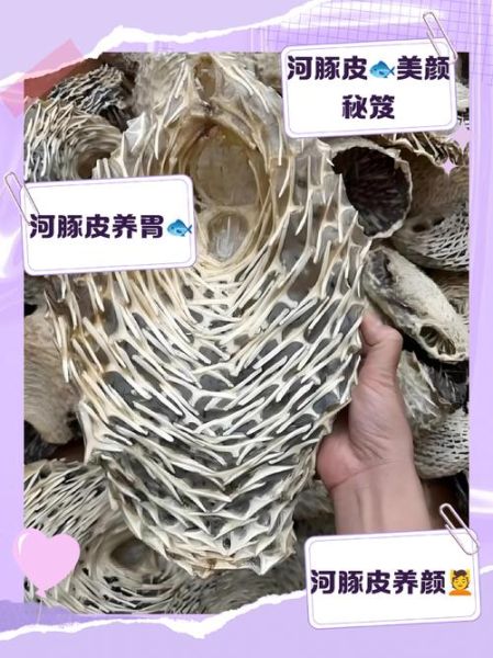河豚皮为什么要一口吞下去_河豚皮吃法正确吗-第1张图片-山城妙识