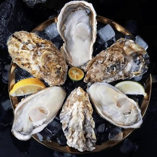 生蚝水煮几分钟最好吃_生蚝水煮多久口感最佳-第3张图片-山城妙识