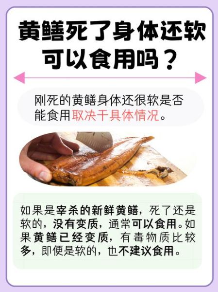 黄鳝怎么杀保留黄鳝血_黄鳝血保存技巧-第3张图片-山城妙识