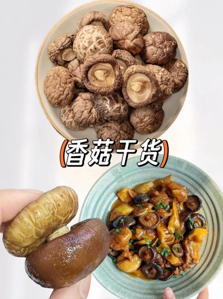香菇怎么做好吃_干香菇泡发技巧-第3张图片-山城妙识 香菇怎么做好吃_干香菇泡发技巧-第3张图片-山城妙识
