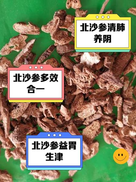 北沙参的功效与作用及禁忌_北沙参哪些人不能吃-第2张图片-山城妙识
