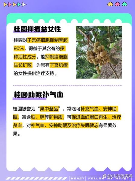鲜桂圆的功效与作用_鲜桂圆一天吃多少合适-第3张图片-山城妙识 鲜桂圆的功效与作用_鲜桂圆一天吃多少合适-第3张图片-山城妙识
