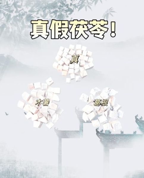 茯苓图片大全高清图片_如何辨别真假茯苓-第1张图片-山城妙识 茯苓图片大全高清图片_如何辨别真假茯苓-第1张图片-山城妙识