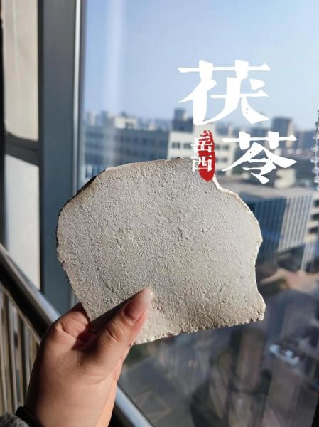 茯苓图片大全高清图片_如何辨别真假茯苓-第2张图片-山城妙识 茯苓图片大全高清图片_如何辨别真假茯苓-第2张图片-山城妙识