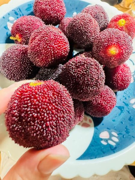 自制杨梅汁怎么做_自制杨梅汁能放几天-第1张图片-山城妙识