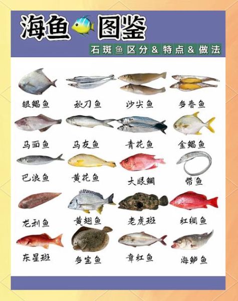 常见海鱼种类有哪些_如何快速识别-第1张图片-山城妙识 常见海鱼种类有哪些_如何快速识别-第1张图片-山城妙识