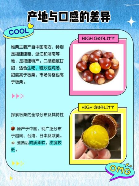 野生锥栗可以吃吗_野生锥栗与板栗区别-第3张图片-山城妙识 野生锥栗可以吃吗_野生锥栗与板栗区别-第3张图片-山城妙识