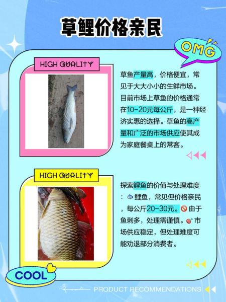 草鱼图片和鲤鱼图片的区别_如何一眼分辨-第2张图片-山城妙识 草鱼图片和鲤鱼图片的区别_如何一眼分辨-第2张图片-山城妙识