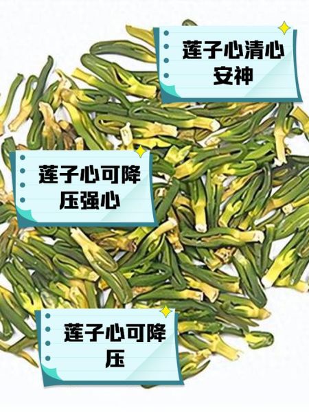 莲子心的功效与作用及用量_莲子心一天吃多少合适-第2张图片-山城妙识