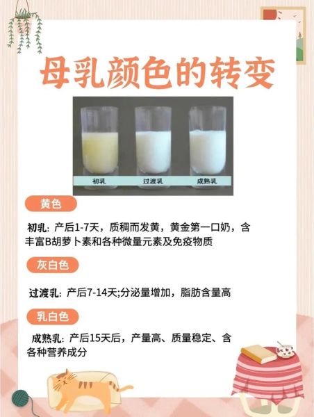 配方奶粉是什么意思_配方奶粉和母乳区别-第1张图片-山城妙识 配方奶粉是什么意思_配方奶粉和母乳区别-第1张图片-山城妙识