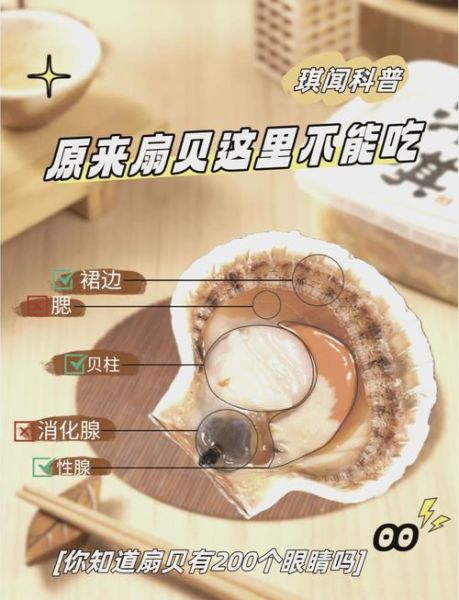 扇贝热量高吗_减肥能吃扇贝吗-第2张图片-山城妙识 扇贝热量高吗_减肥能吃扇贝吗-第2张图片-山城妙识
