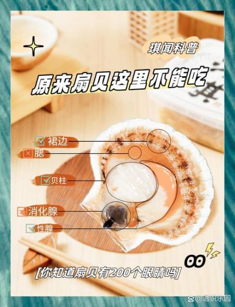 扇贝热量高吗_减肥能吃扇贝吗-第3张图片-山城妙识 扇贝热量高吗_减肥能吃扇贝吗-第3张图片-山城妙识