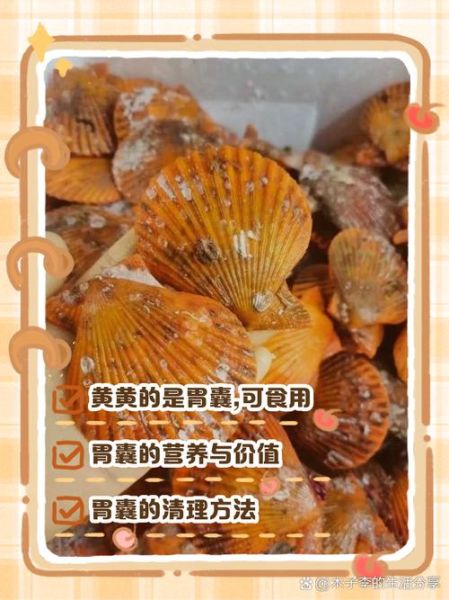 扇贝热量高吗_减肥能吃扇贝吗-第1张图片-山城妙识 扇贝热量高吗_减肥能吃扇贝吗-第1张图片-山城妙识