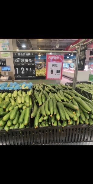 今日蔬菜价格_近期蔬菜为何大涨-第1张图片-山城妙识 今日蔬菜价格_近期蔬菜为何大涨-第1张图片-山城妙识