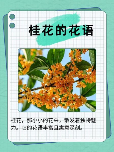 闻到桂花香是什么感觉_如何形容桂花香的心情-第1张图片-山城妙识 闻到桂花香是什么感觉_如何形容桂花香的心情-第1张图片-山城妙识