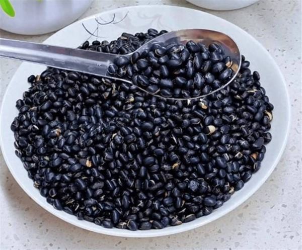 黑豆怎么吃最补黑色素_黑豆怎么吃效果最好-第1张图片-山城妙识