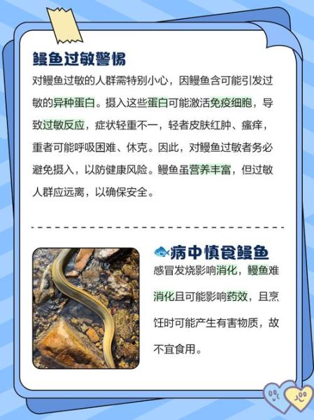 中国人不吃鳗鱼_鳗鱼在中国不受欢迎的原因-第2张图片-山城妙识 中国人不吃鳗鱼_鳗鱼在中国不受欢迎的原因-第2张图片-山城妙识