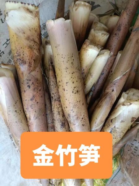 金竹笋怎么保存_金竹笋图片大全-第3张图片-山城妙识 金竹笋怎么保存_金竹笋图片大全-第3张图片-山城妙识