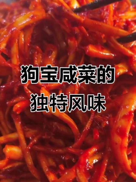 鲜狗宝咸菜正宗做法_鲜狗宝咸菜怎么腌制-第3张图片-山城妙识 鲜狗宝咸菜正宗做法_鲜狗宝咸菜怎么腌制-第3张图片-山城妙识