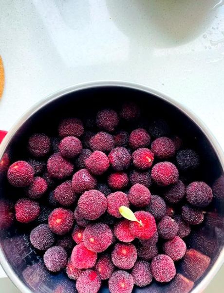 杨梅干的功效与作用_杨梅干吃多了会上火吗-第1张图片-山城妙识 杨梅干的功效与作用_杨梅干吃多了会上火吗-第1张图片-山城妙识