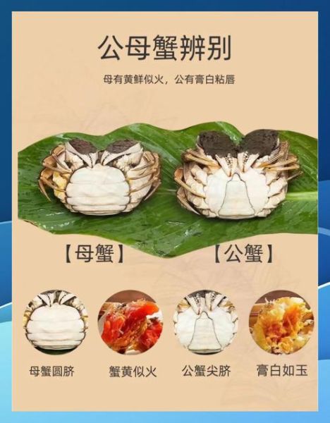 螃蟹交易靠谱吗_如何判断平台真假-第2张图片-山城妙识 螃蟹交易靠谱吗_如何判断平台真假-第2张图片-山城妙识