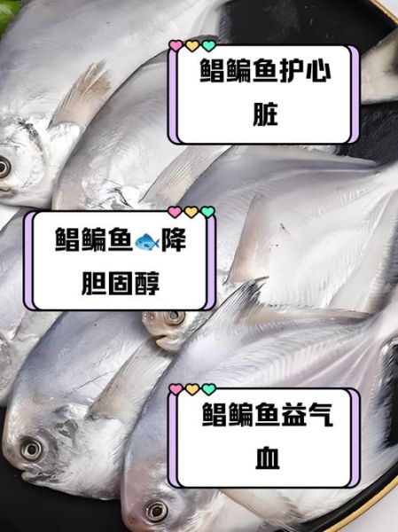 武昌鱼和鳊鱼有什么区别_武昌鱼与鳊鱼外形差异-第3张图片-山城妙识