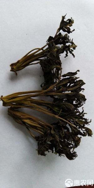 香椿干怎么做好吃_香椿干的做法大全-第3张图片-山城妙识 香椿干怎么做好吃_香椿干的做法大全-第3张图片-山城妙识