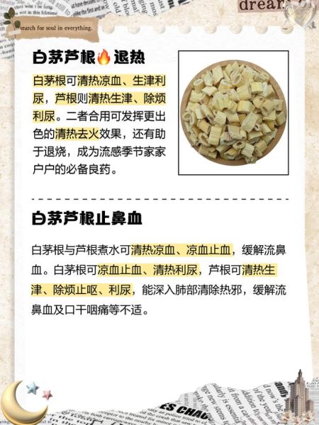 芦根泡水喝的功效_芦根泡水能天天喝吗-第2张图片-山城妙识 芦根泡水喝的功效_芦根泡水能天天喝吗-第2张图片-山城妙识