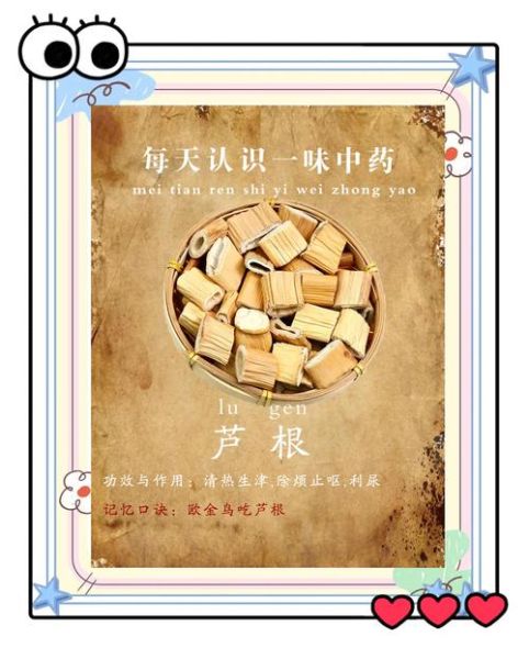 芦根泡水喝的功效_芦根泡水能天天喝吗-第3张图片-山城妙识 芦根泡水喝的功效_芦根泡水能天天喝吗-第3张图片-山城妙识