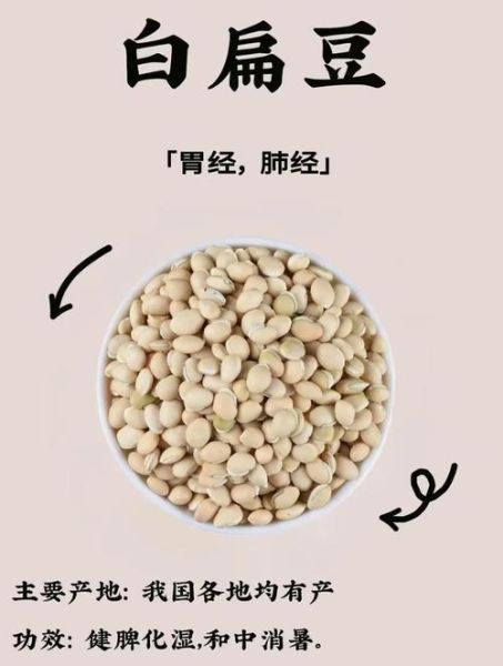 白扁豆的功效与禁忌_哪些人不能吃-第1张图片-山城妙识 白扁豆的功效与禁忌_哪些人不能吃-第1张图片-山城妙识