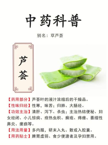 芦荟的功效与作用_芦荟的禁忌有哪些-第1张图片-山城妙识 芦荟的功效与作用_芦荟的禁忌有哪些-第1张图片-山城妙识