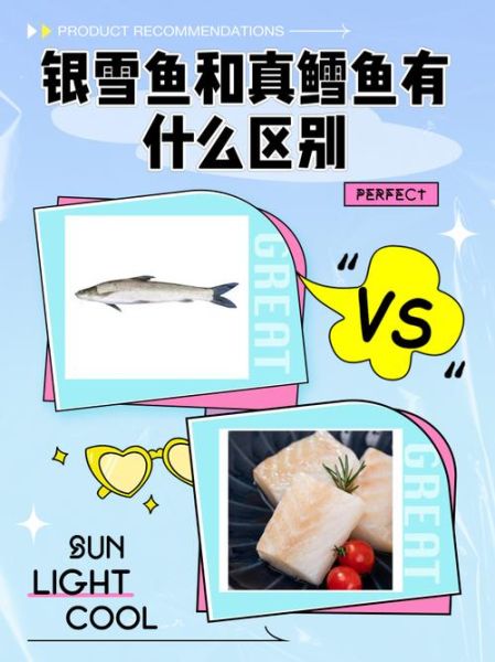 鳕鱼跟银雪鱼区别图片_鳕鱼银雪鱼怎么区分-第1张图片-山城妙识