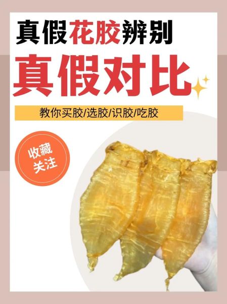 鱼胶是鱼的哪个部位_鱼胶和鱼鳔有什么区别-第1张图片-山城妙识 鱼胶是鱼的哪个部位_鱼胶和鱼鳔有什么区别-第1张图片-山城妙识